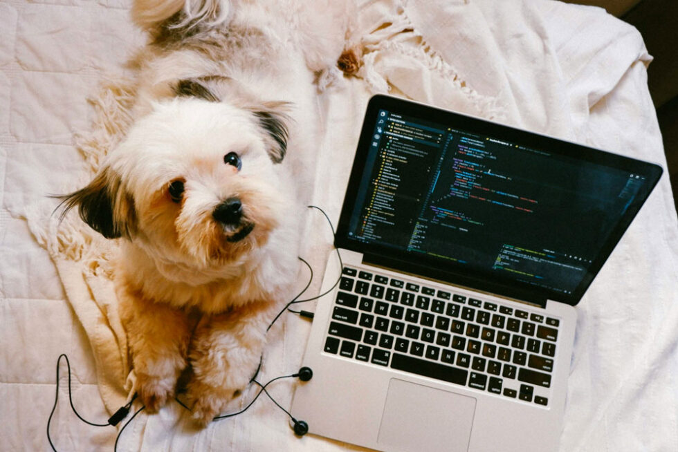 Found - Free (and Almost Free) Resources For Inspiration - Monica ...